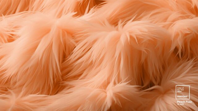 Pantone 2024年の流行色が決定 「ピーチファズ Peach Fuzz」 見るだけデザインの教科書｜デザインが学べるブログ