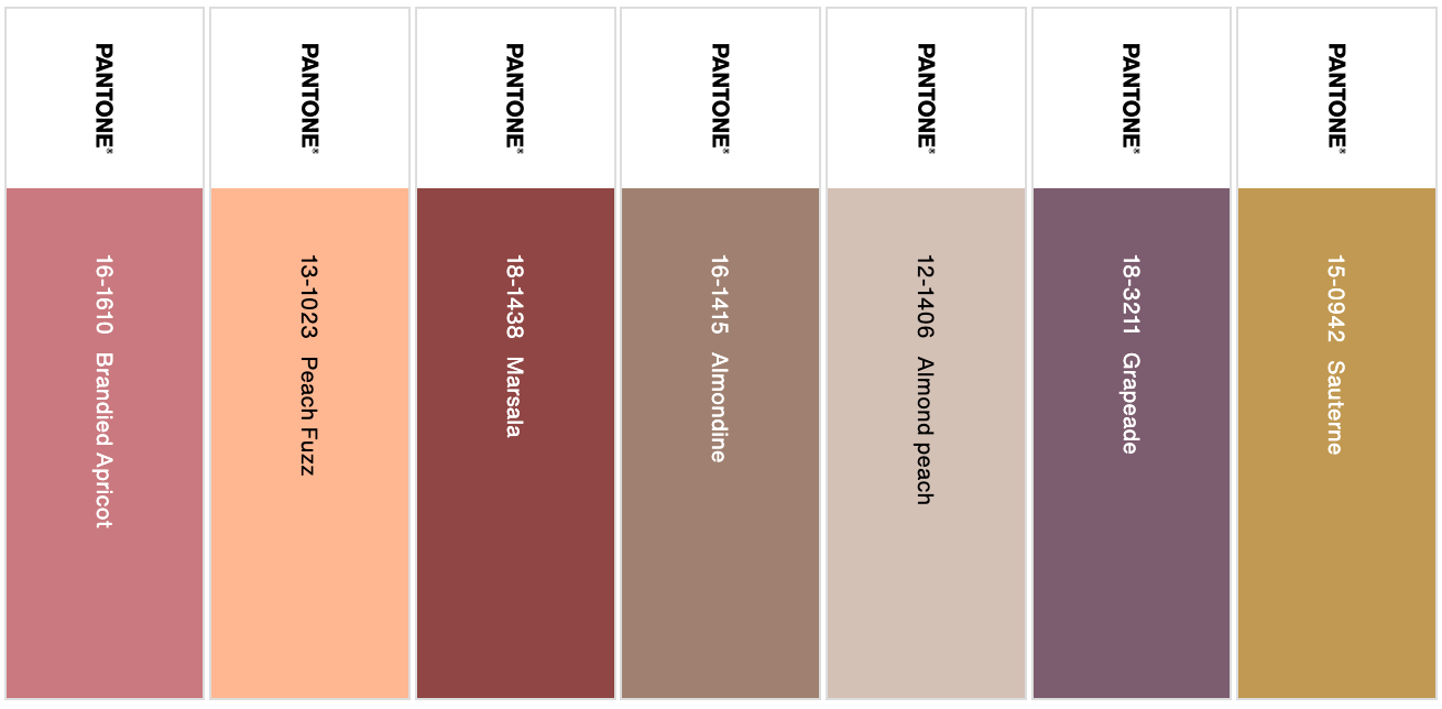Pantone 2024年の流行色が決定 「ピーチファズ Peach Fuzz」 見るだけデザインの教科書｜デザインが学べるブログ