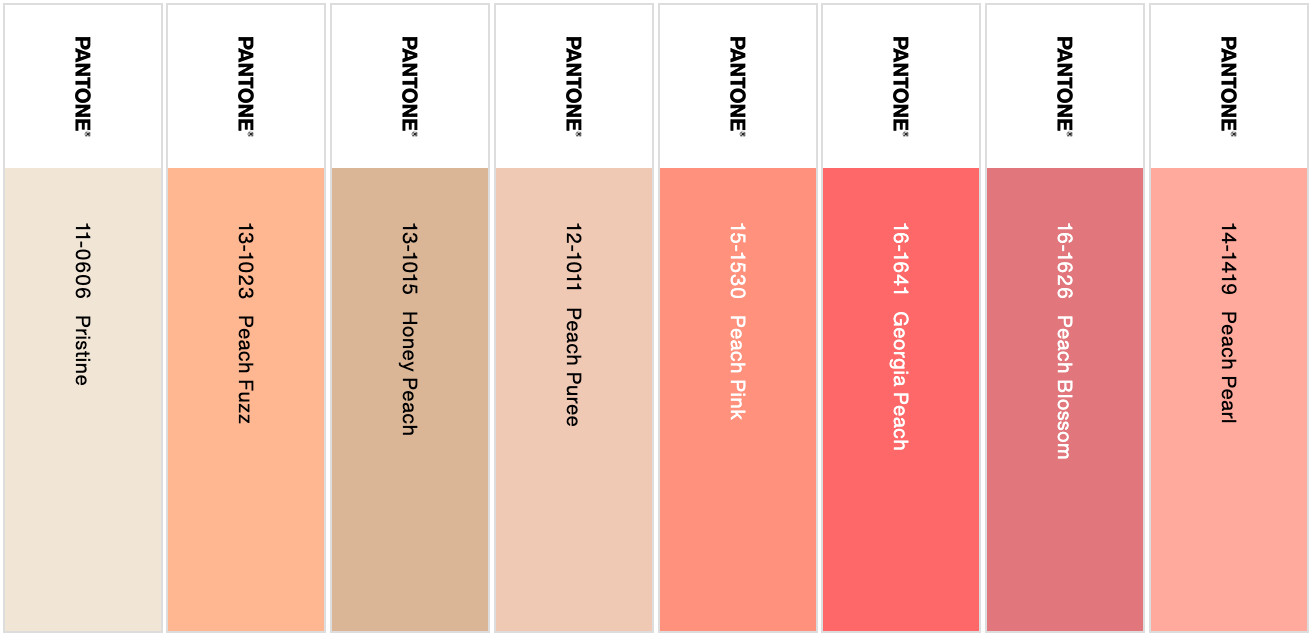 Pantone 2024年の流行色が決定 「ピーチファズ Peach Fuzz」 見るだけデザインの教科書|デザインが学べるブログ