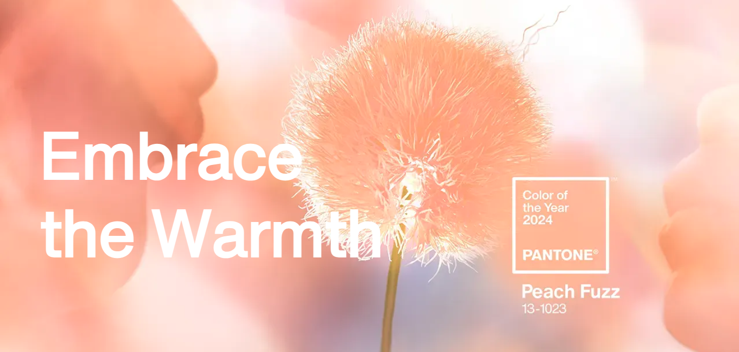 Pantone 2024年の流行色が決定 「ピーチファズ Peach Fuzz」 見るだけデザインの教科書｜デザインが学べるブログ